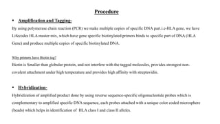 HLA typing SSO method using xMAP Technology. | PPTX