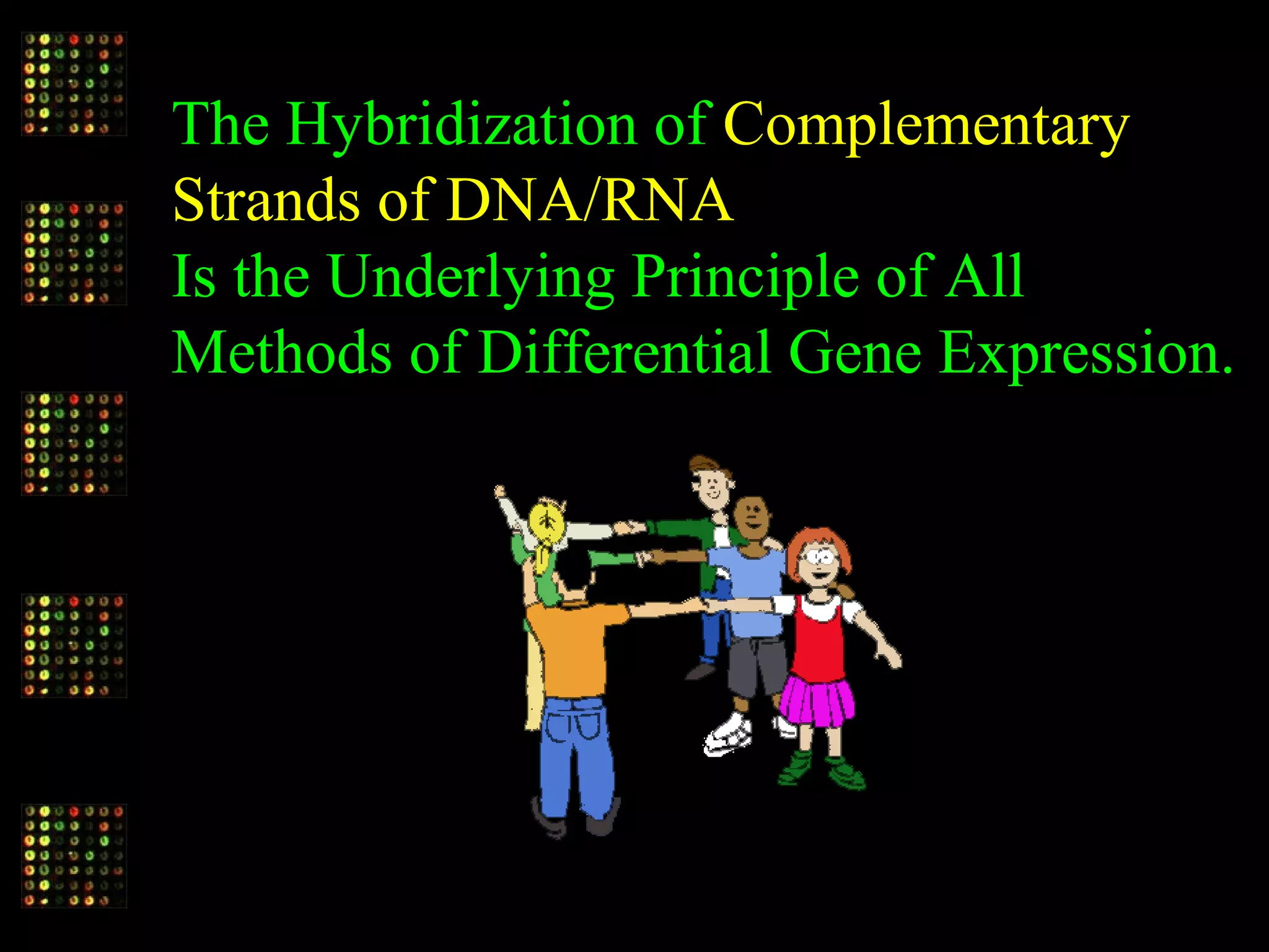 Dna microarray mehran | PPT
