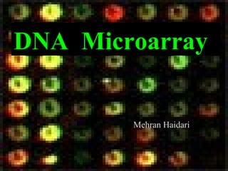 Dna microarray mehran | PPT