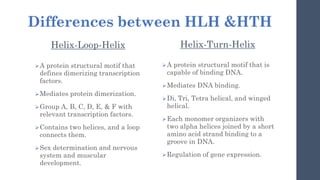 HLH Motif and Leucine Zipper , domains - molecular biology | PDF