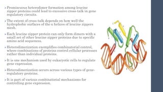 HLH Motif and Leucine Zipper , domains - molecular biology | PDF