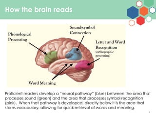 The Power of Reading | PDF