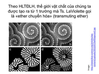 Hạ lượng tử động lực học: Subquantum Kinetics | PPT