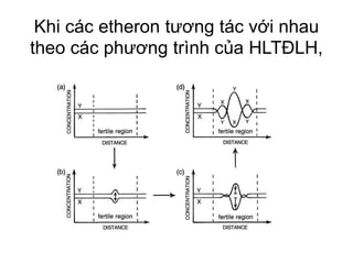 Hạ lượng tử động lực học: Subquantum Kinetics | PPT