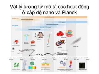 Hạ lượng tử động lực học: Subquantum Kinetics | PPT