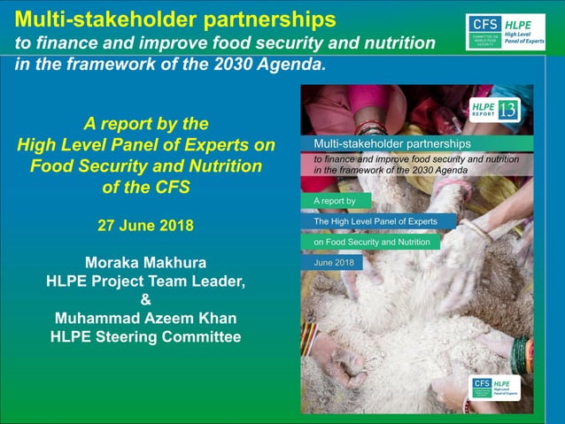 Multi-stakeholder partnerships to finance and improve food security and ...