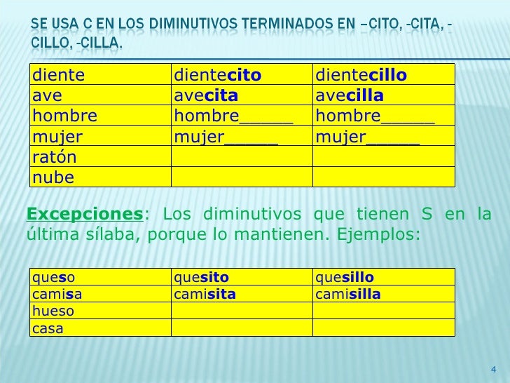 reglas de la csz