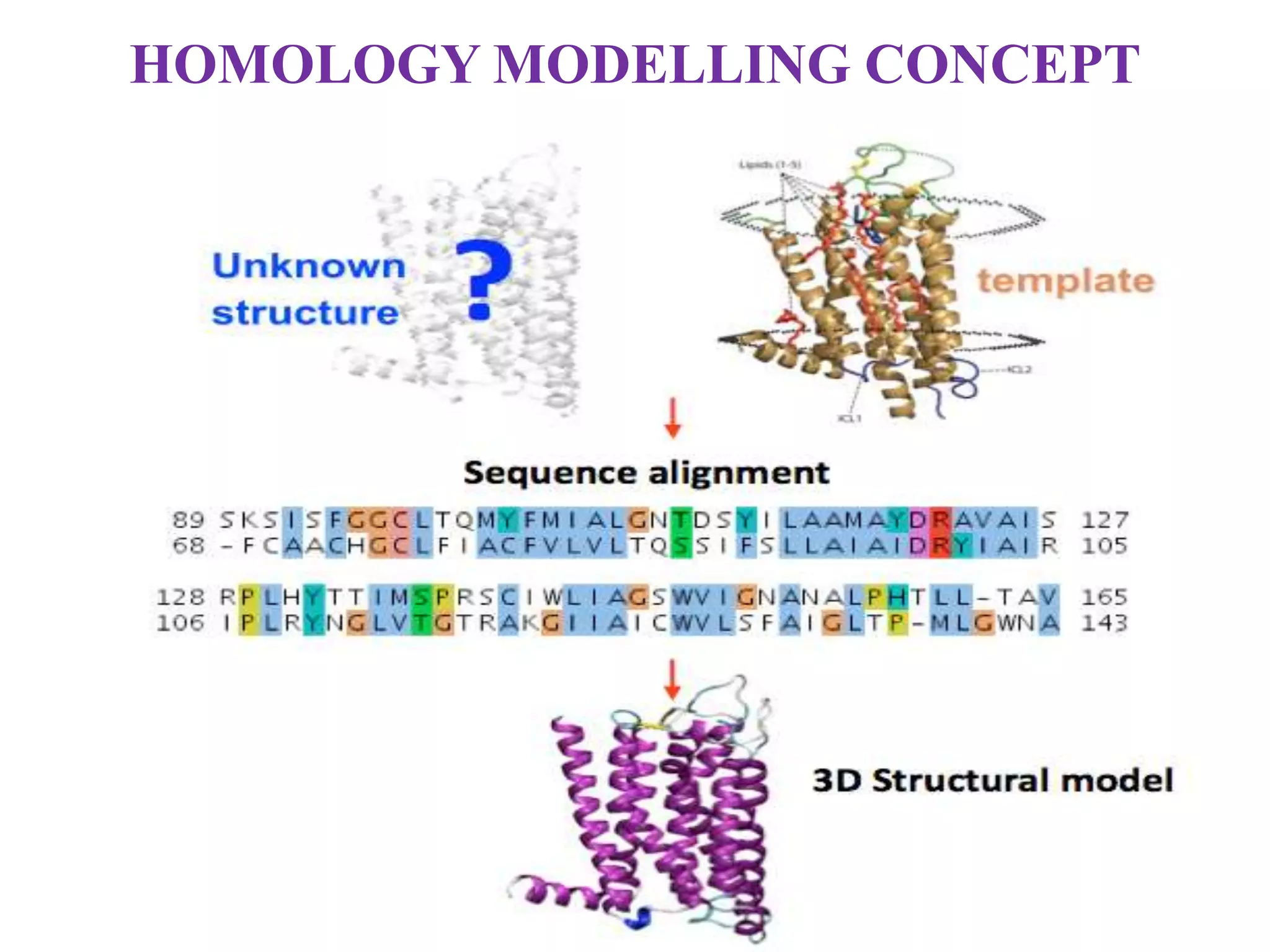 Homology modelling | PPTX