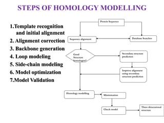 Homology modelling | PPTX
