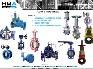 HMA Group Overview Presentation | PPTX