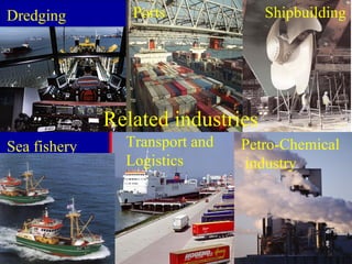 Human Resources Development In Shipping And Transport | PPT
