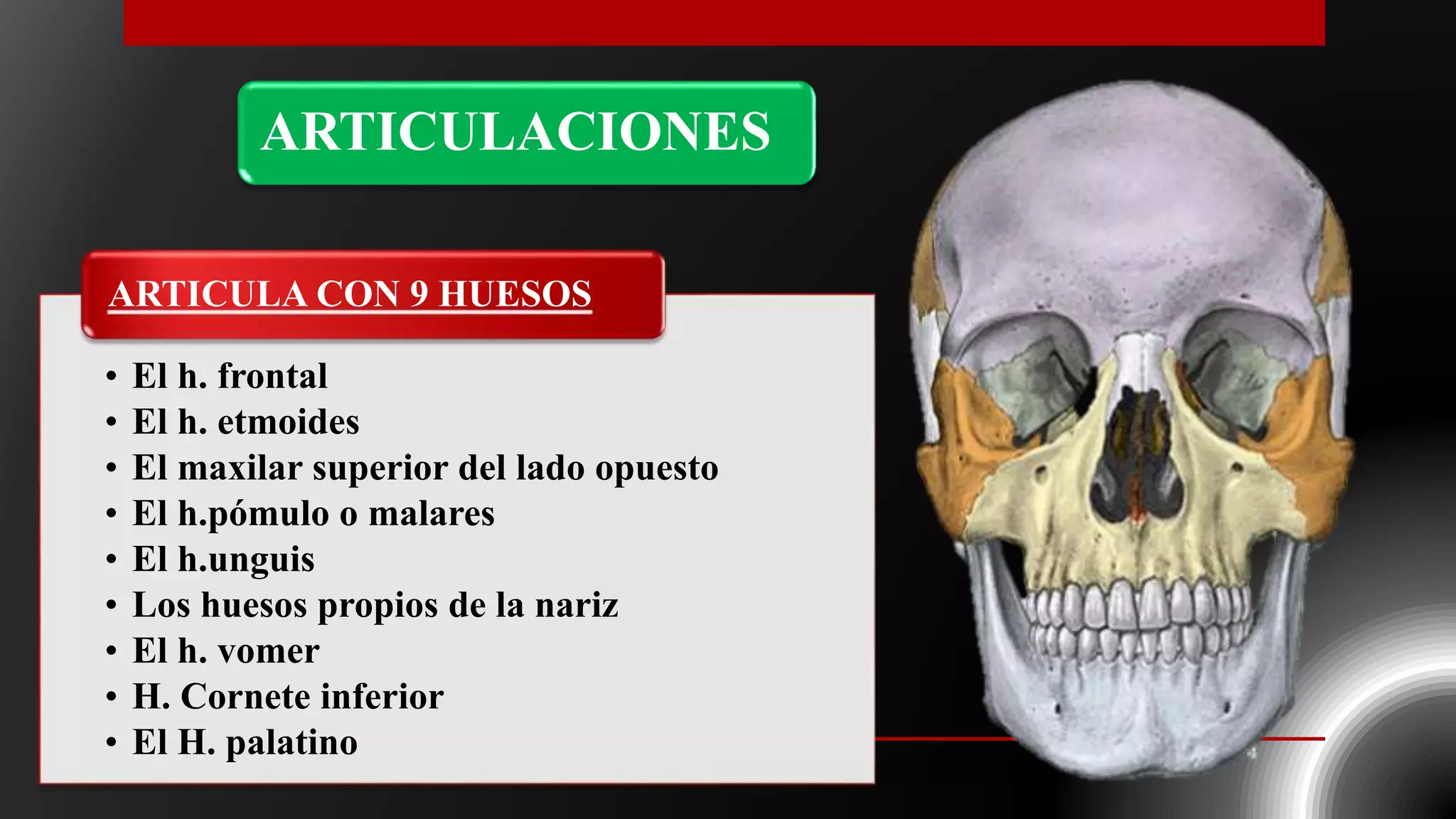HUESO MAXILAR Y MANDIBULA | PPTX