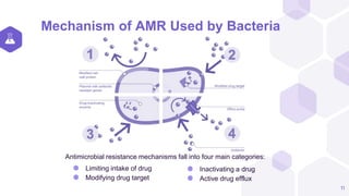 Effective Antimicrobial Susceptibility Testing; A path to solving AMR ...