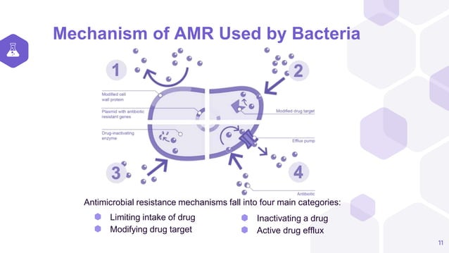 Effective Antimicrobial Susceptibility Testing; A path to solving AMR ...