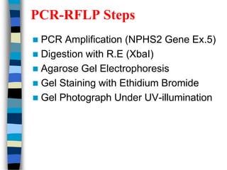 HMD_PCR-RFLP_KIBGE_KCHI.pptx