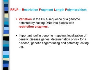 HMD_PCR-RFLP_KIBGE_KCHI.pptx