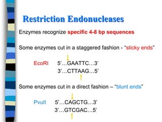 HMD_PCR-RFLP_KIBGE_KCHI.pptx
