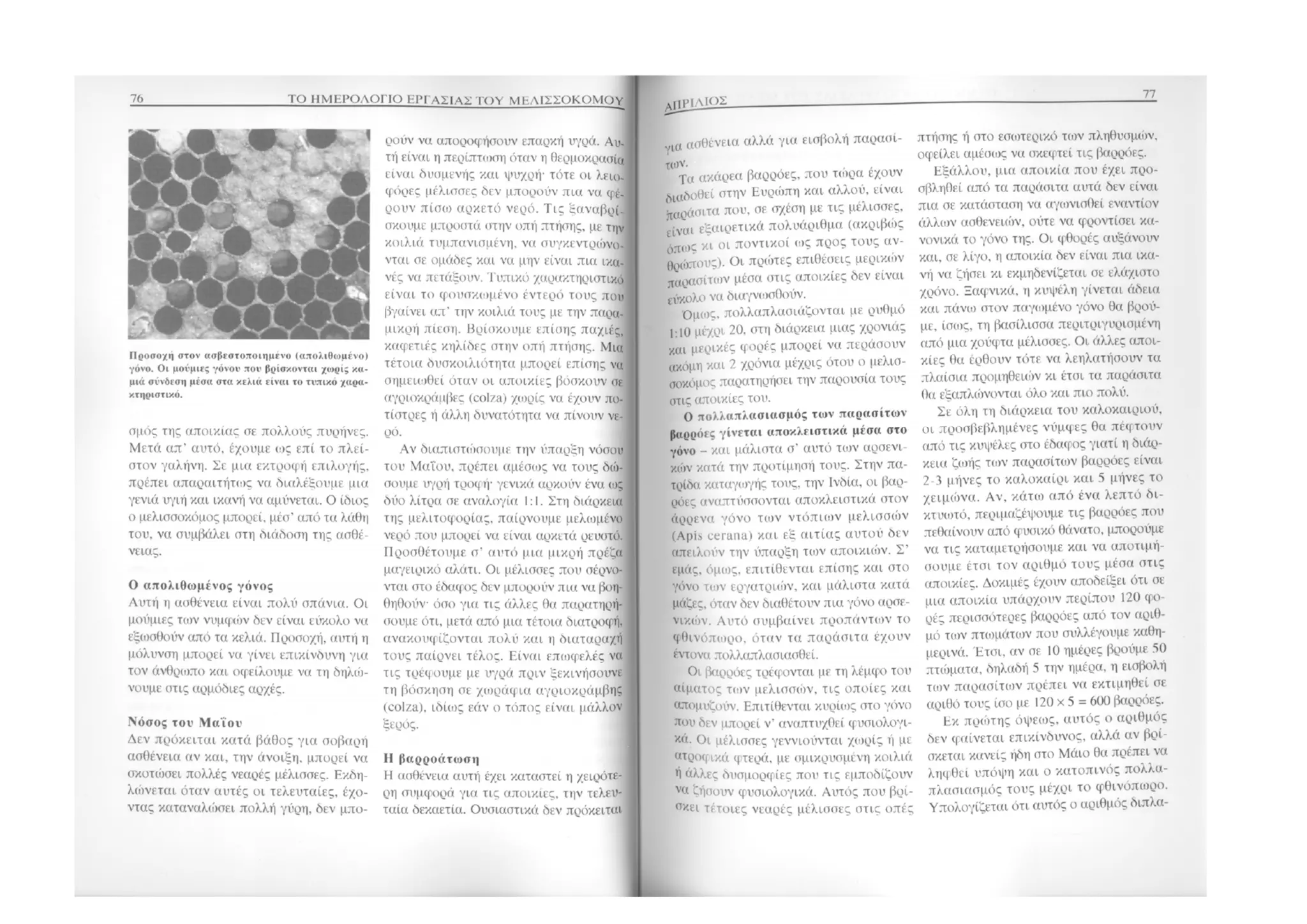Hmerologio melissokomias | PDF