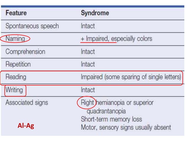 HIGHER MENTAL FUNCTION EXAMINATION(PART2) | PPT