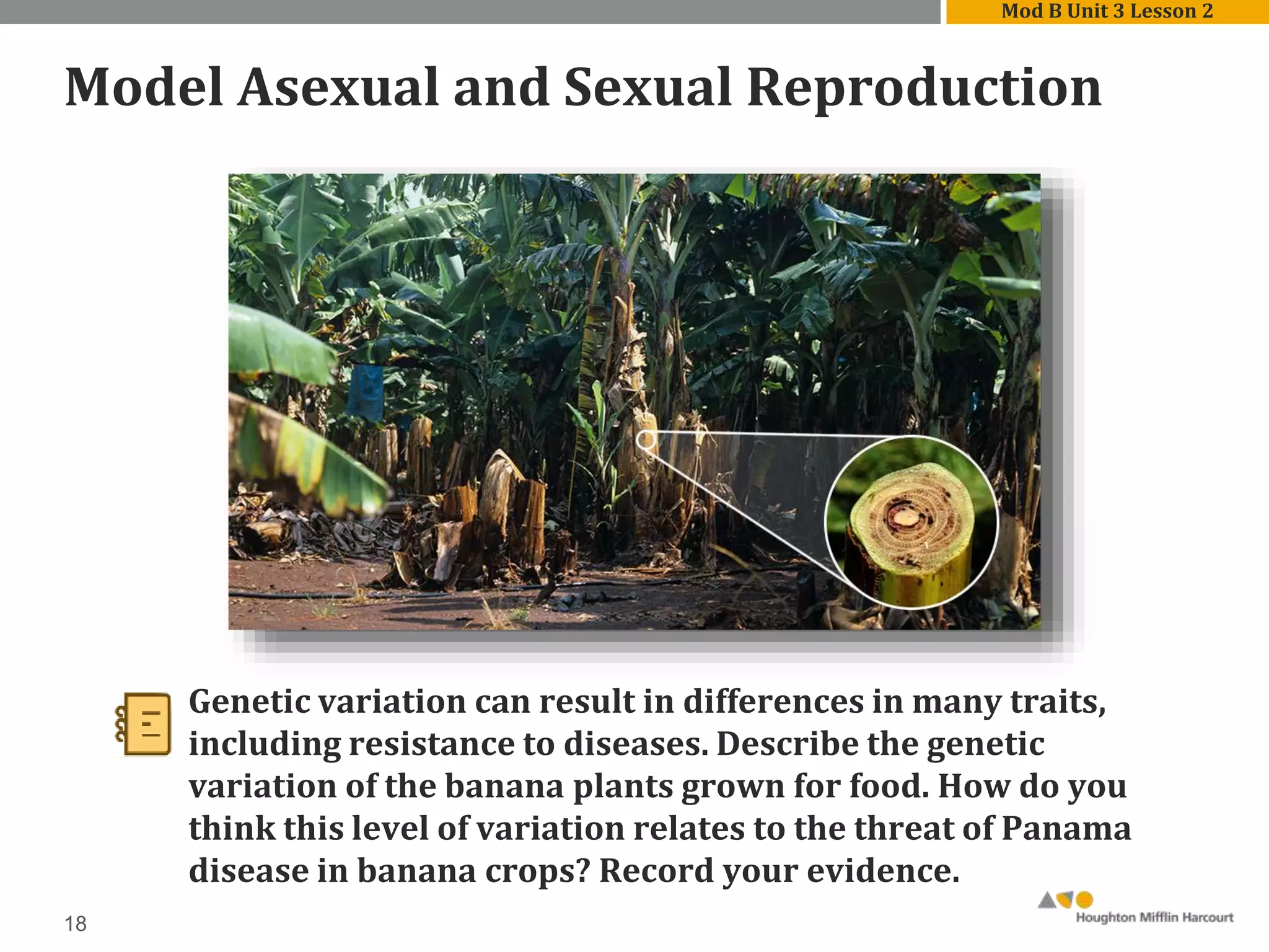 HMHScienceDimensions_ModB_U3_L2.pptx
