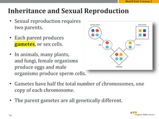 HMHScienceDimensions_ModB_U3_L2.pptx