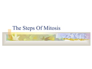 mitosis by joey | PPT