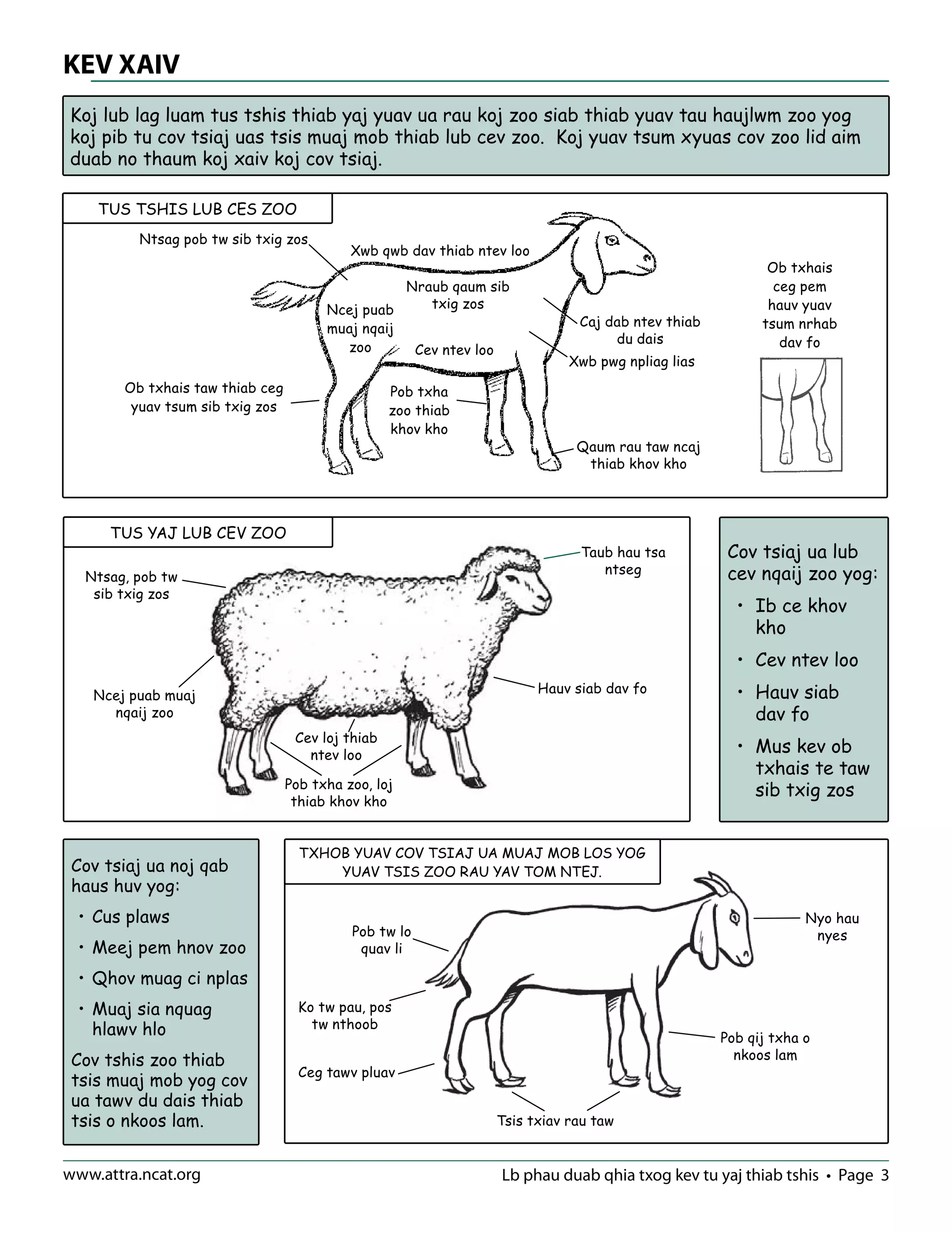 An Illustrated Guide to Sheep and Goat Production | PDF | Agriculture ...