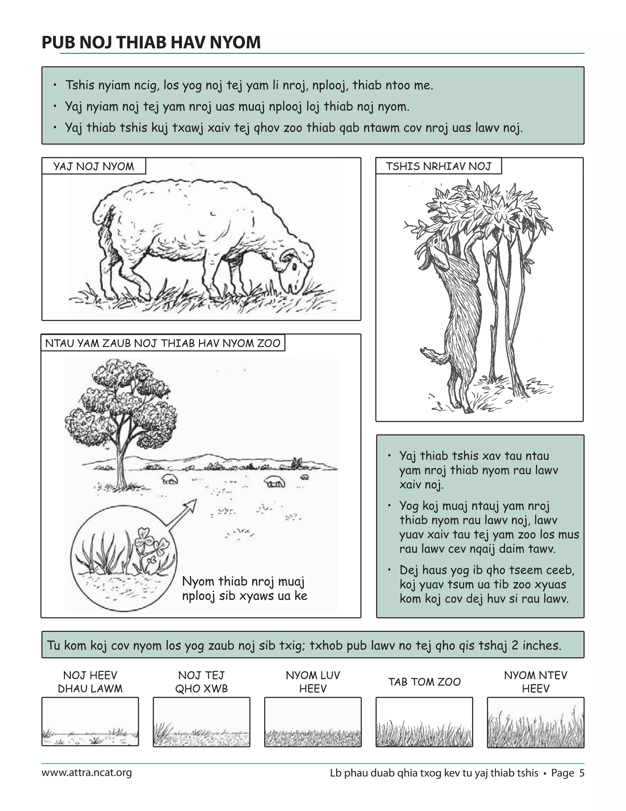 An Illustrated Guide to Sheep and Goat Production | PDF | Agriculture ...