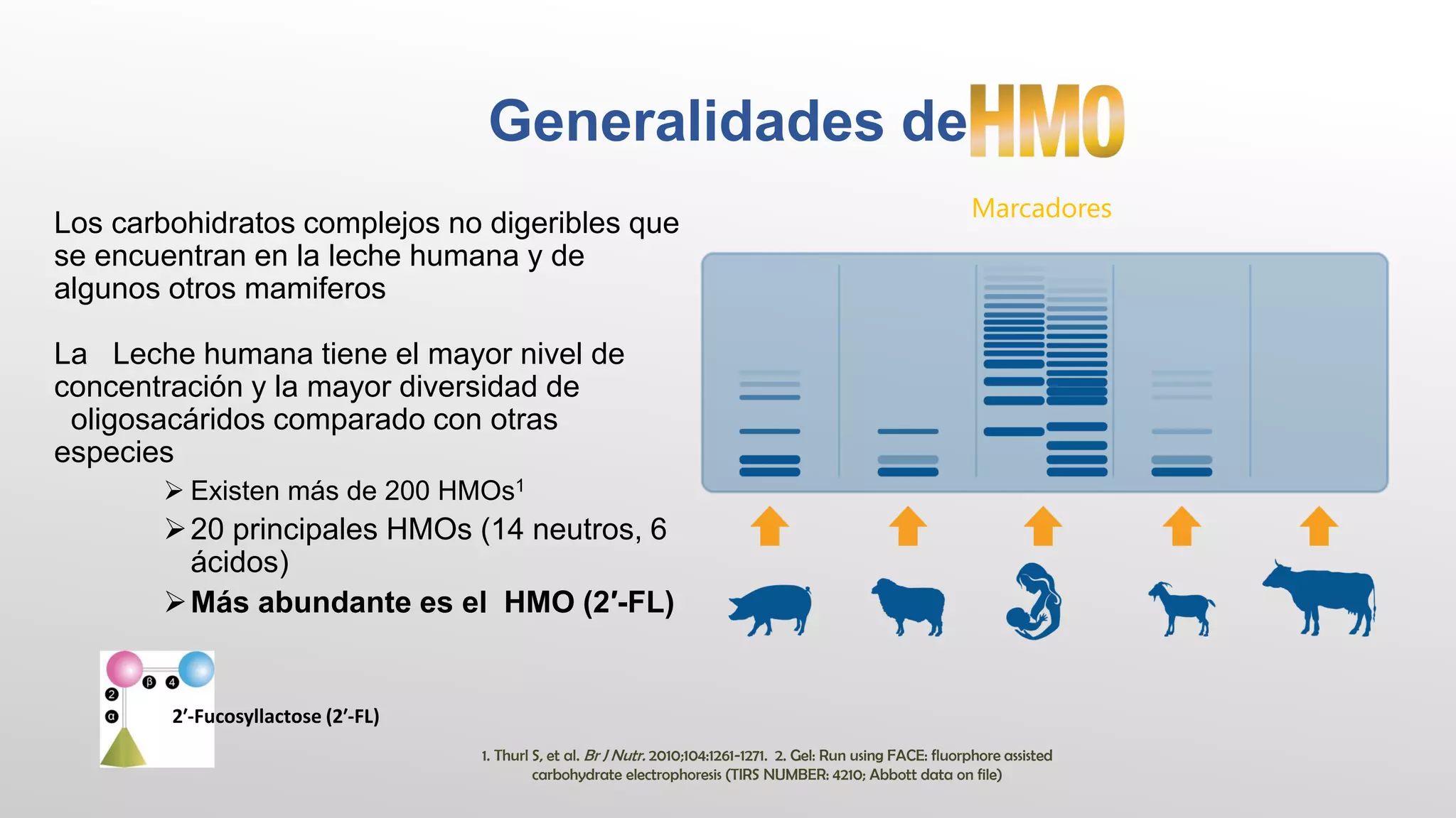 Hmo + desarrollo inmunologico | PDF