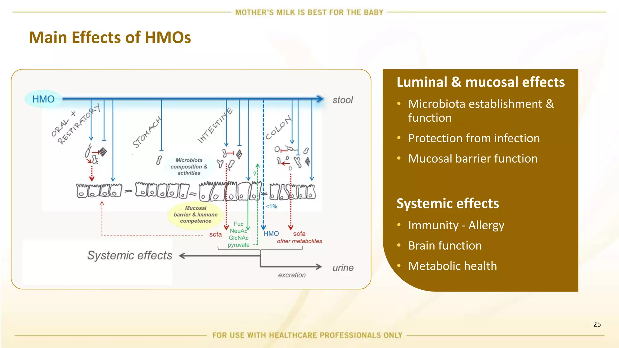 HMO in preterms.pptx