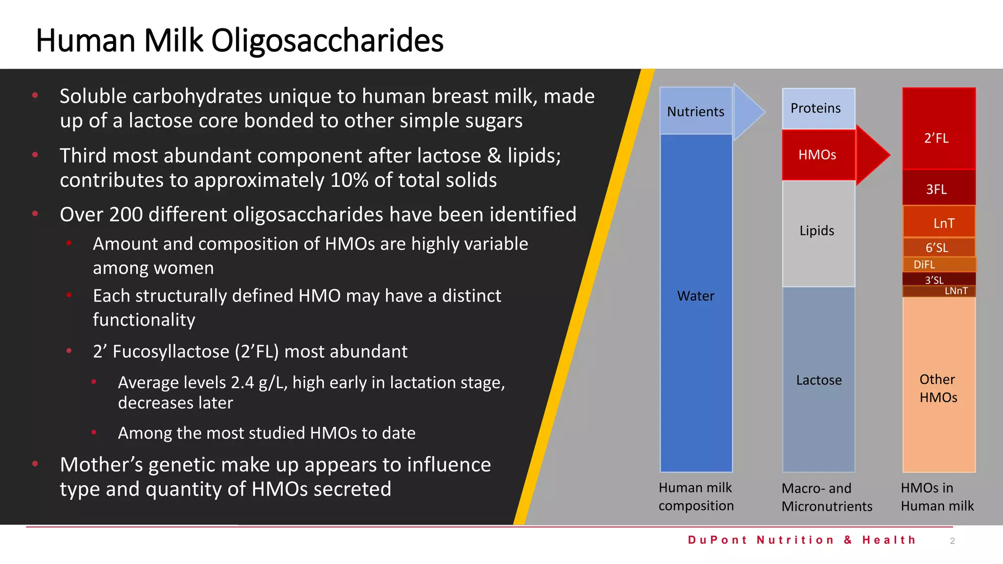 Human Milk Oligosaccharides (HMO) - Immune Health of Infants | PDF