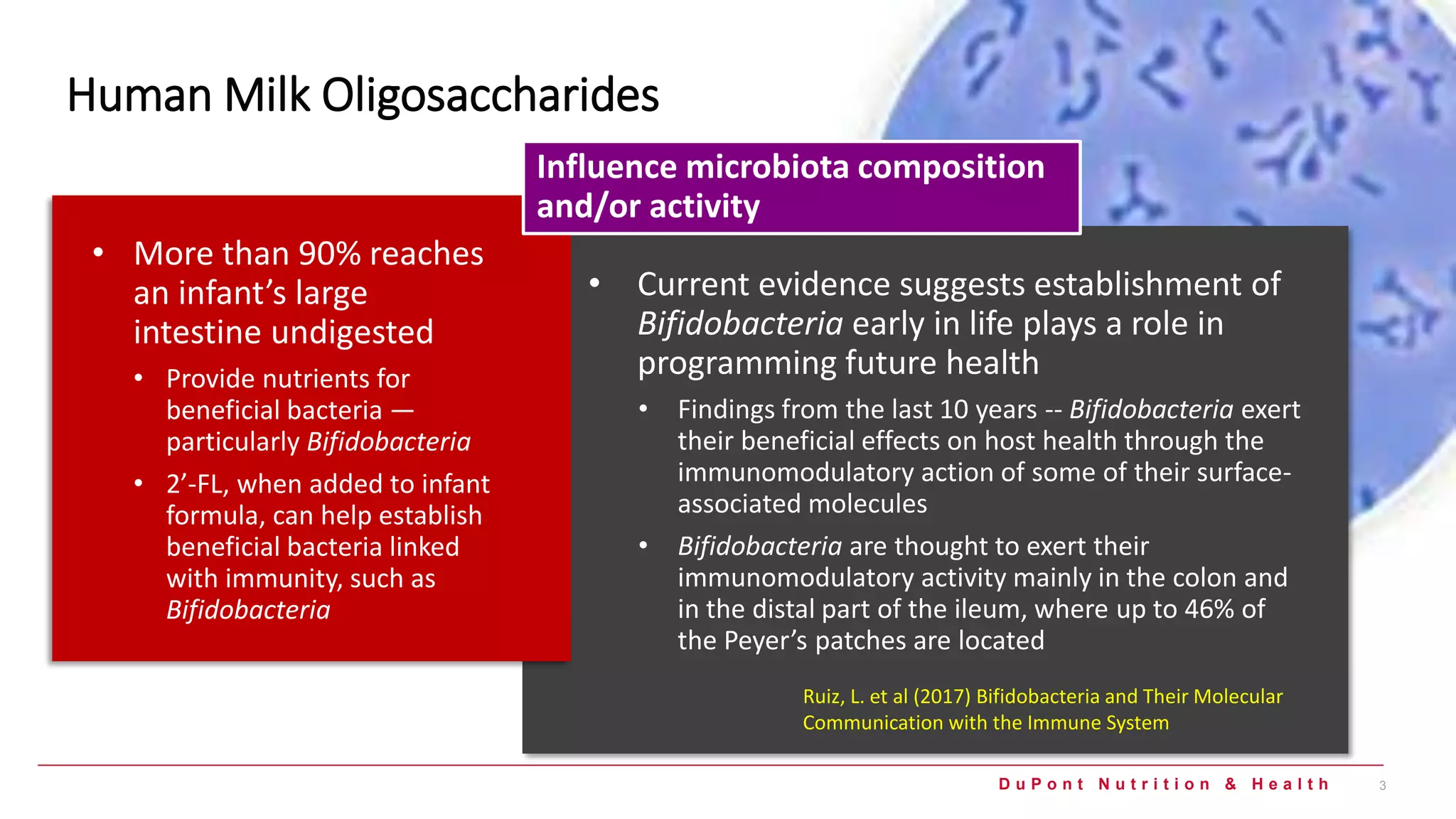 Human Milk Oligosaccharides (HMO) - Immune Health of Infants | PDF