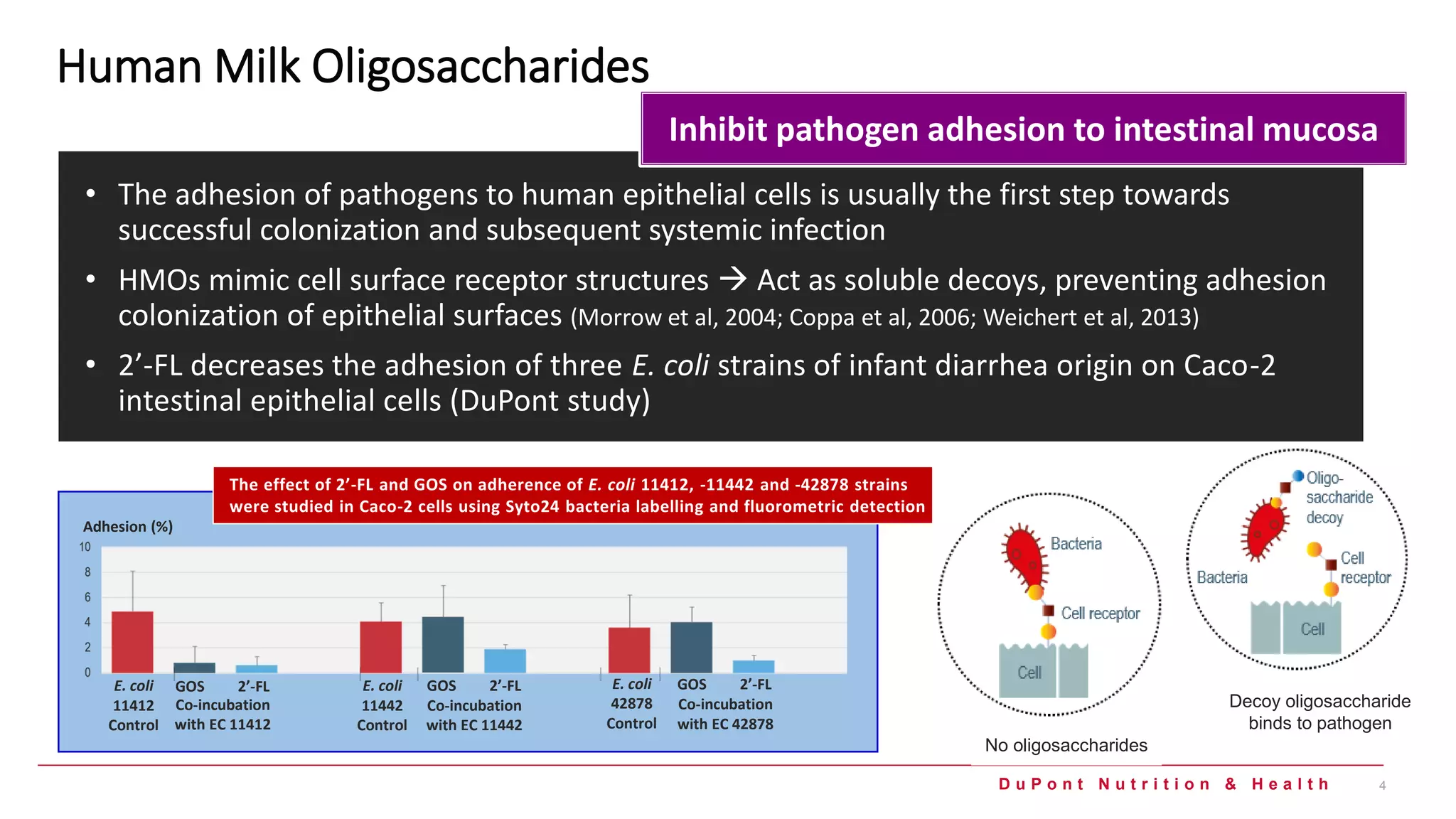 Human Milk Oligosaccharides (HMO) - Immune Health of Infants | PDF
