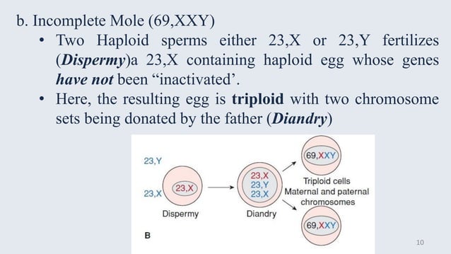 HYDATIDIFORM MOLE: APPROACH AND MANAGEMENT | PDF