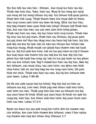 Hmong Daw Forgiveness Tract.pdf