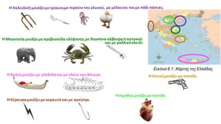 Η μορφή και το σχήμα της Ελλάδας | PPT