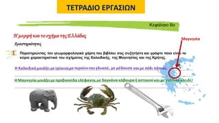 Η μορφή και το σχήμα της Ελλάδας | PPT