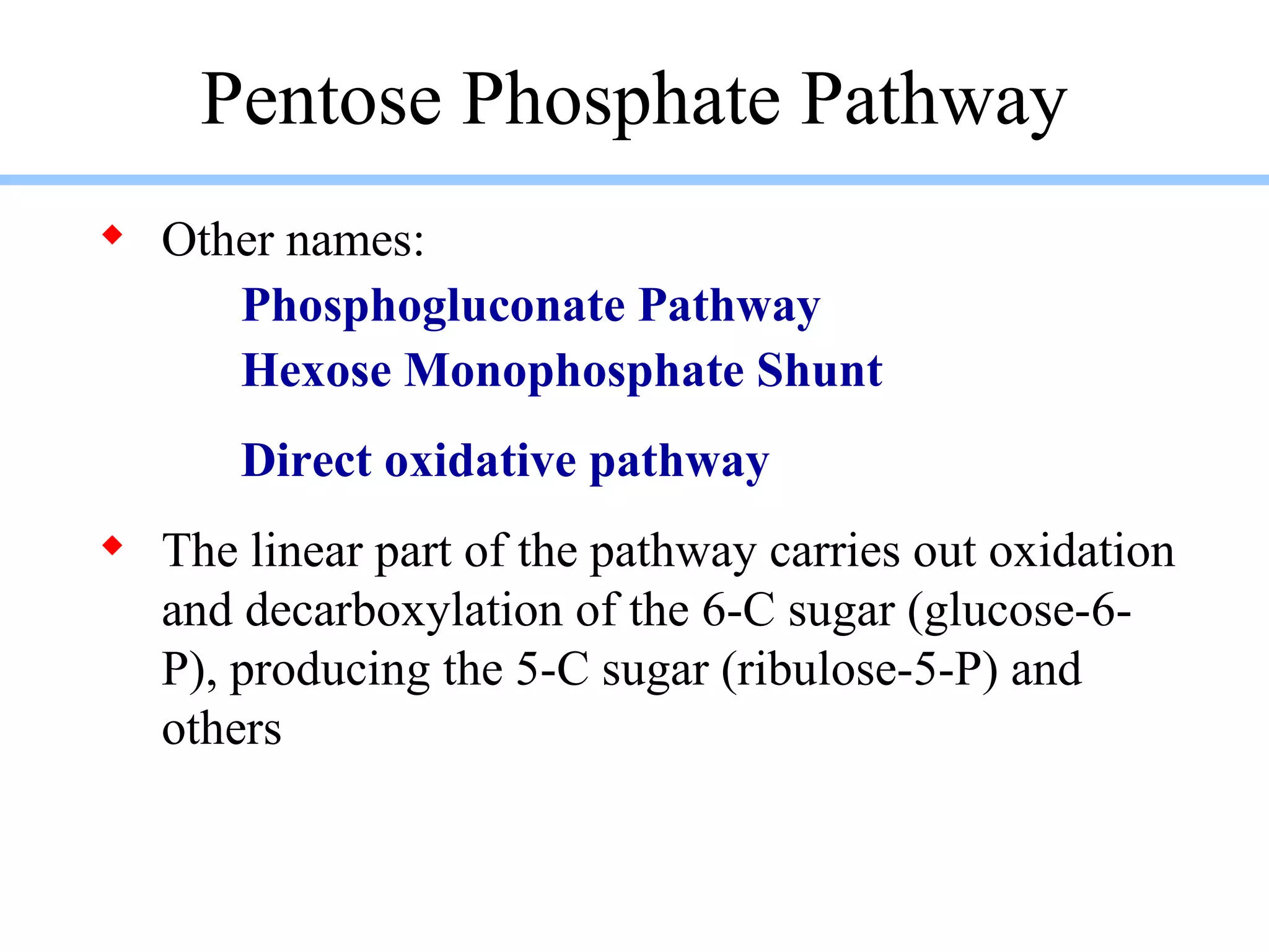 Hexose monophosphate shunt | PPT