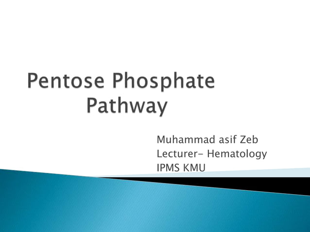 Hmp shunt pathway | PPTX | Endocrine and Metabolic Diseases | Diseases ...
