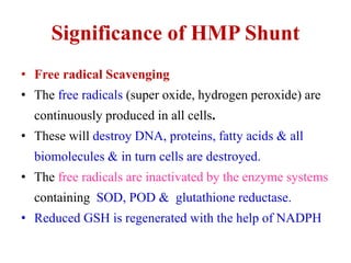 HMP shunt | PPT