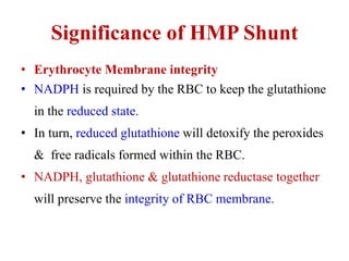 HMP shunt | PPT