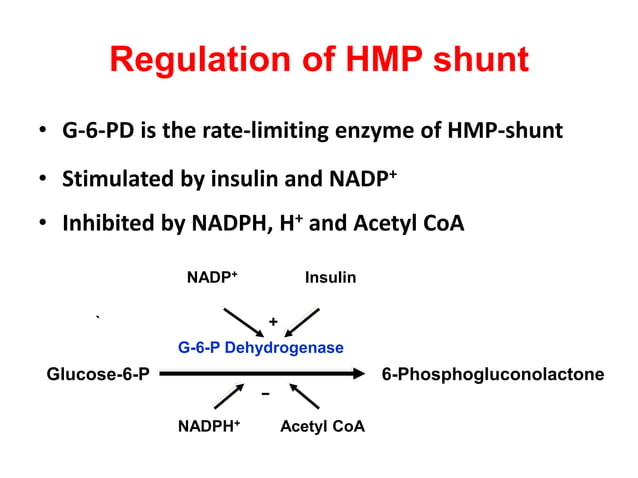 Hmp shunt | PPT