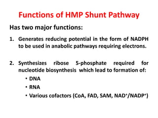 Hmp shunt | PPT