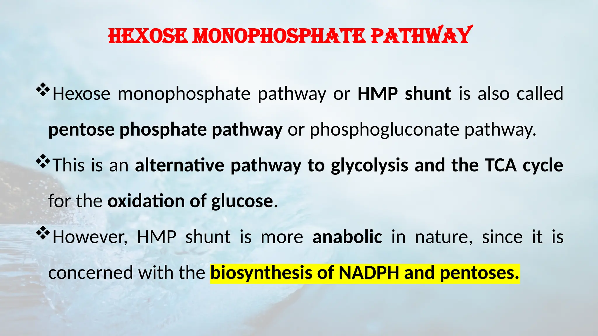 HMP-Shunt (Hexose monophosphate pathway) | PPTX