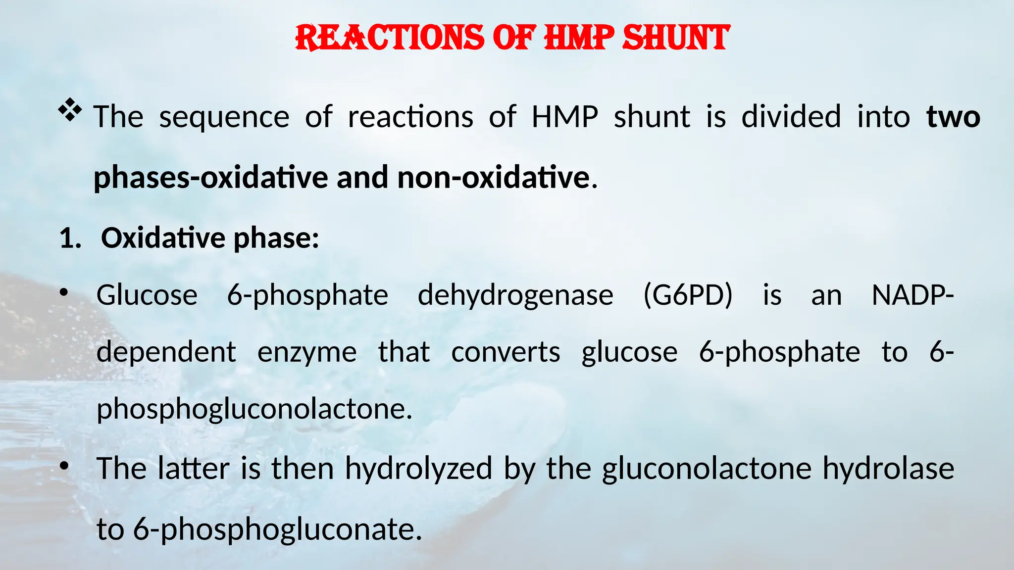 HMP-Shunt (Hexose monophosphate pathway) | PPTX