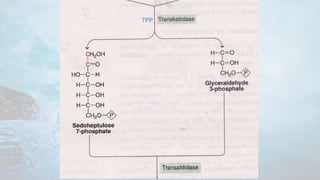 HMP-Shunt (Hexose monophosphate pathway) | PPTX