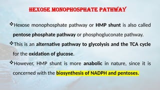 HMP-Shunt (Hexose monophosphate pathway) | PPTX