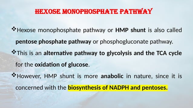 HMP-Shunt (Hexose monophosphate pathway) | PPTX | Endocrine and ...