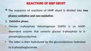 HMP-Shunt (Hexose monophosphate pathway) | PPTX