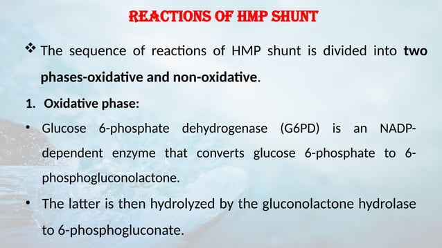 HMP-Shunt (Hexose monophosphate pathway) | PPTX | Endocrine and Metabolic Diseases | Diseases ...